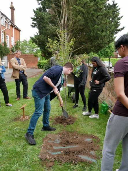 Farnham College plants commemorative tree to honour the Queen’s ...