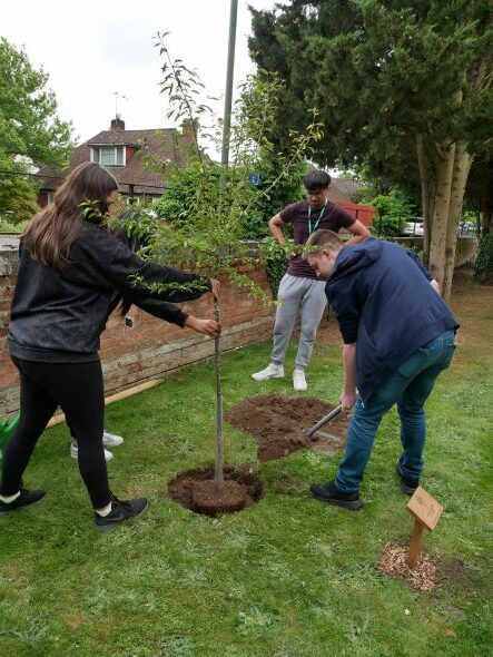 Farnham College plants commemorative tree to honour the Queen’s ...